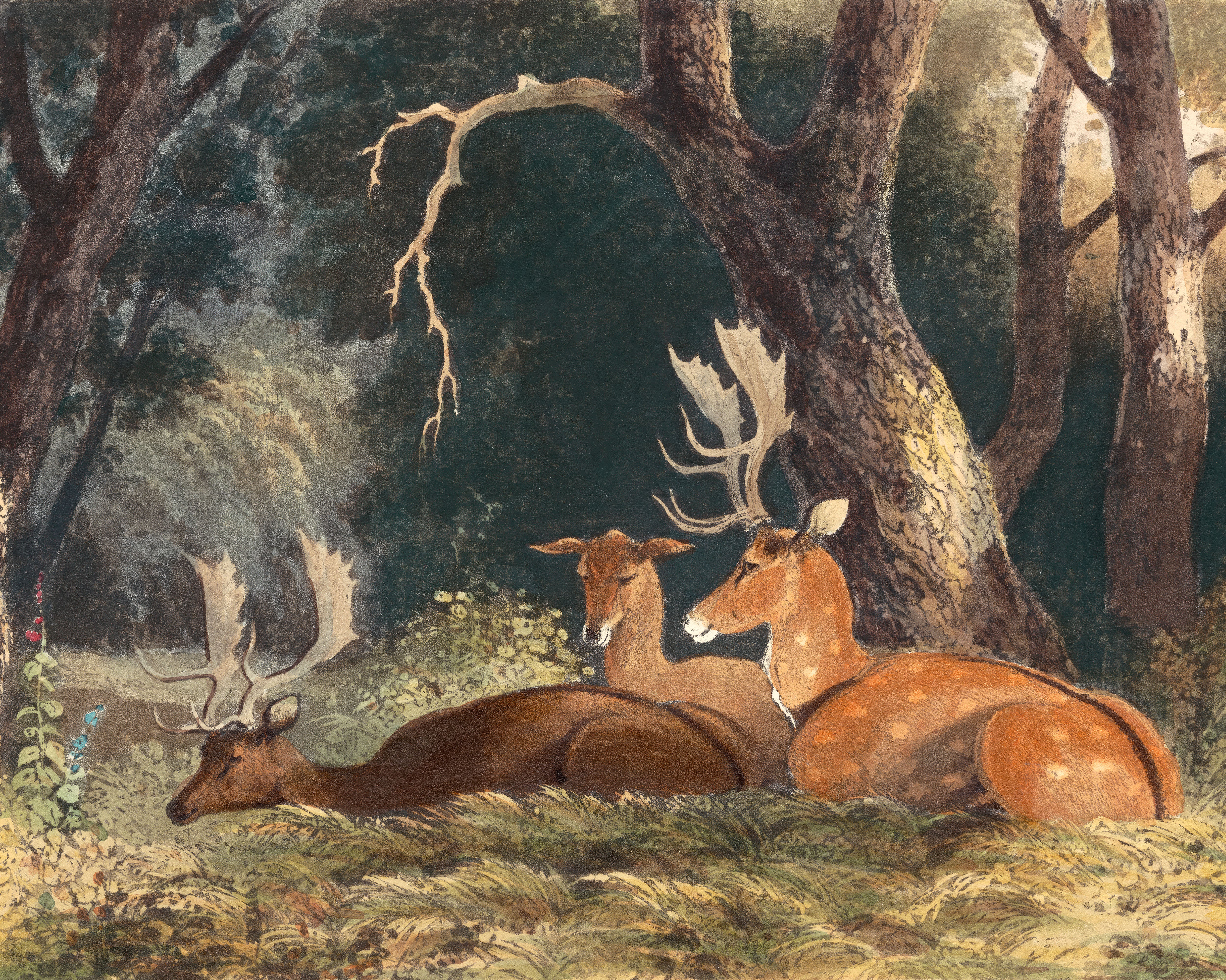 Vintage Art Print - Fallow Deer Cottage Animal Painting – AnnaPrintsCo